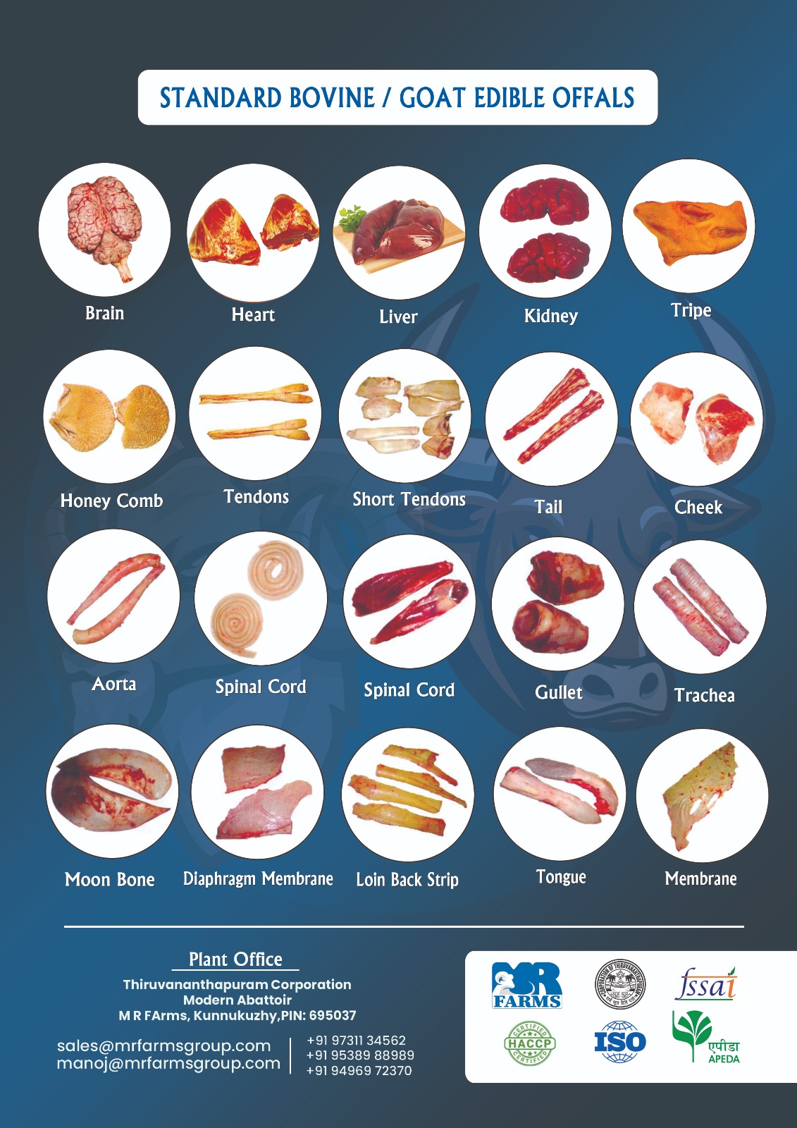 MR Farms Group | Premium Halal Meat Exporter from India | 35+ Years ...